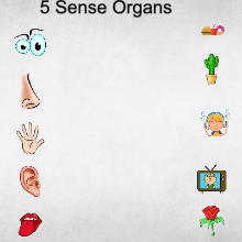 Sprite Lab - Code.org