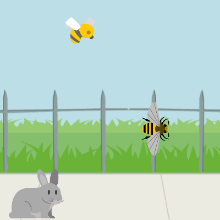 Sprite Lab - Code.org