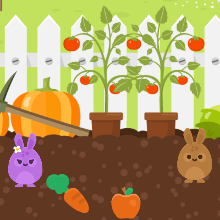 Sprite Lab - Code.org