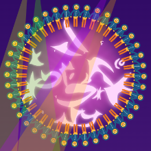 New Dance Lab Project - Code.org