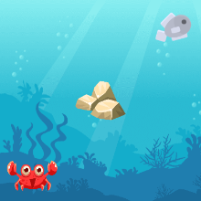 Sprite Lab - Code.org