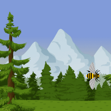 Sprite Lab - Code.org