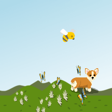 Sprite Lab - Code.org