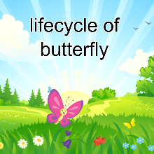 Sprite Lab - Code.org