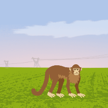 Sprite Lab - Code.org