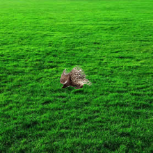 Sprite Lab - Code.org