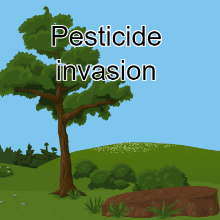 Sprite Lab - Code.org