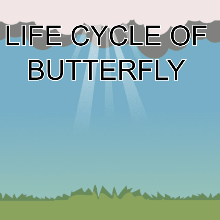 Sprite Lab - Code.org